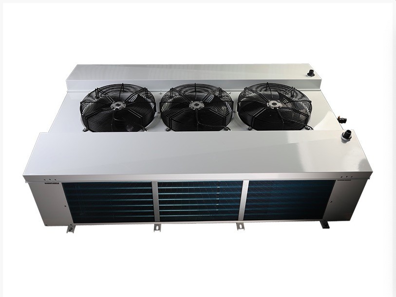 IP65 Waterproof Commercial Air Cooler with 220V/380V Voltage and R404A ...